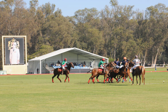 Coupe du Trône de polo : le dernier galop d’un tournoi tout en élégance